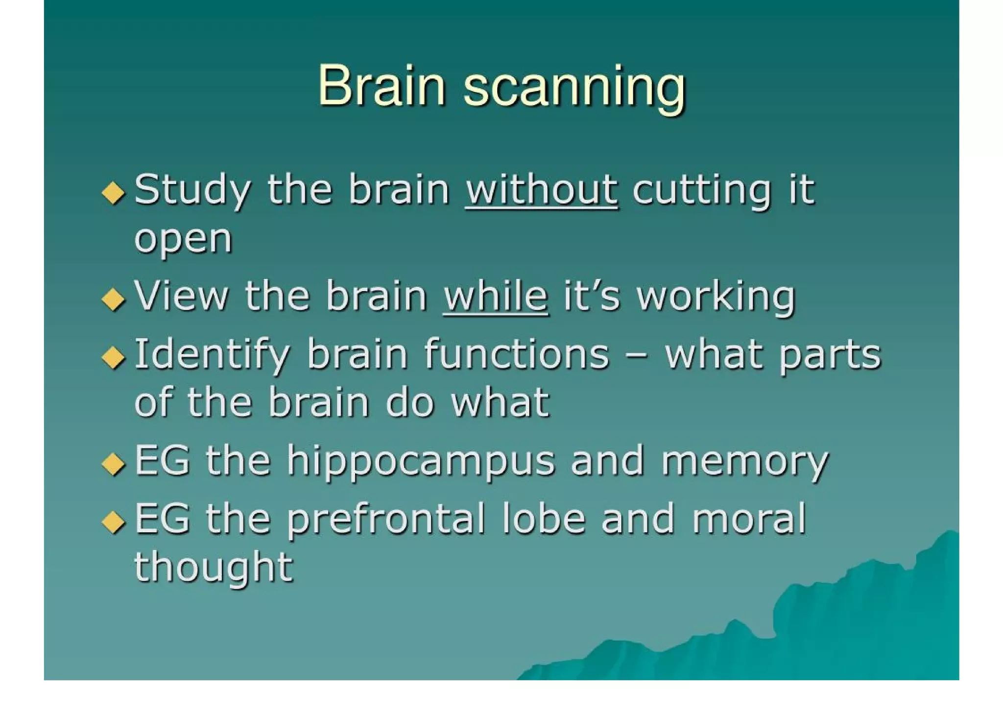 THE BIOLOGICAL APPROACH IN PSYCHOLOGY | PDF