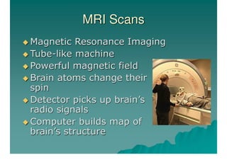 THE BIOLOGICAL APPROACH IN PSYCHOLOGY | PDF