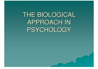 THE BIOLOGICAL APPROACH IN PSYCHOLOGY | PPT