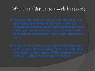 The biological face of menthol | PPT