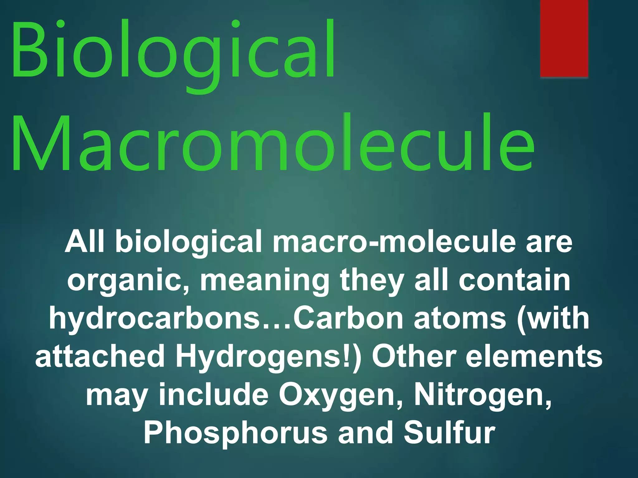 The Biological Macromolecules 2022.ppt