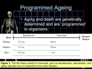 thebiologyofageing-170828072832.pdf | Biological Sciences | Science