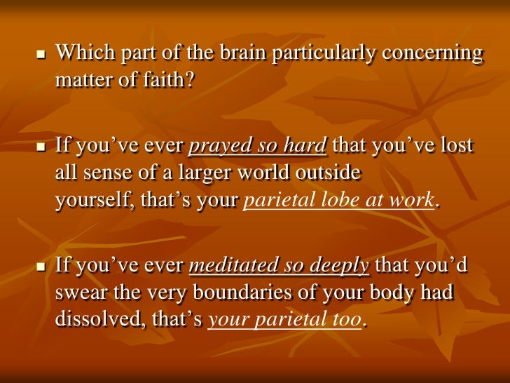The Biology Of Belief