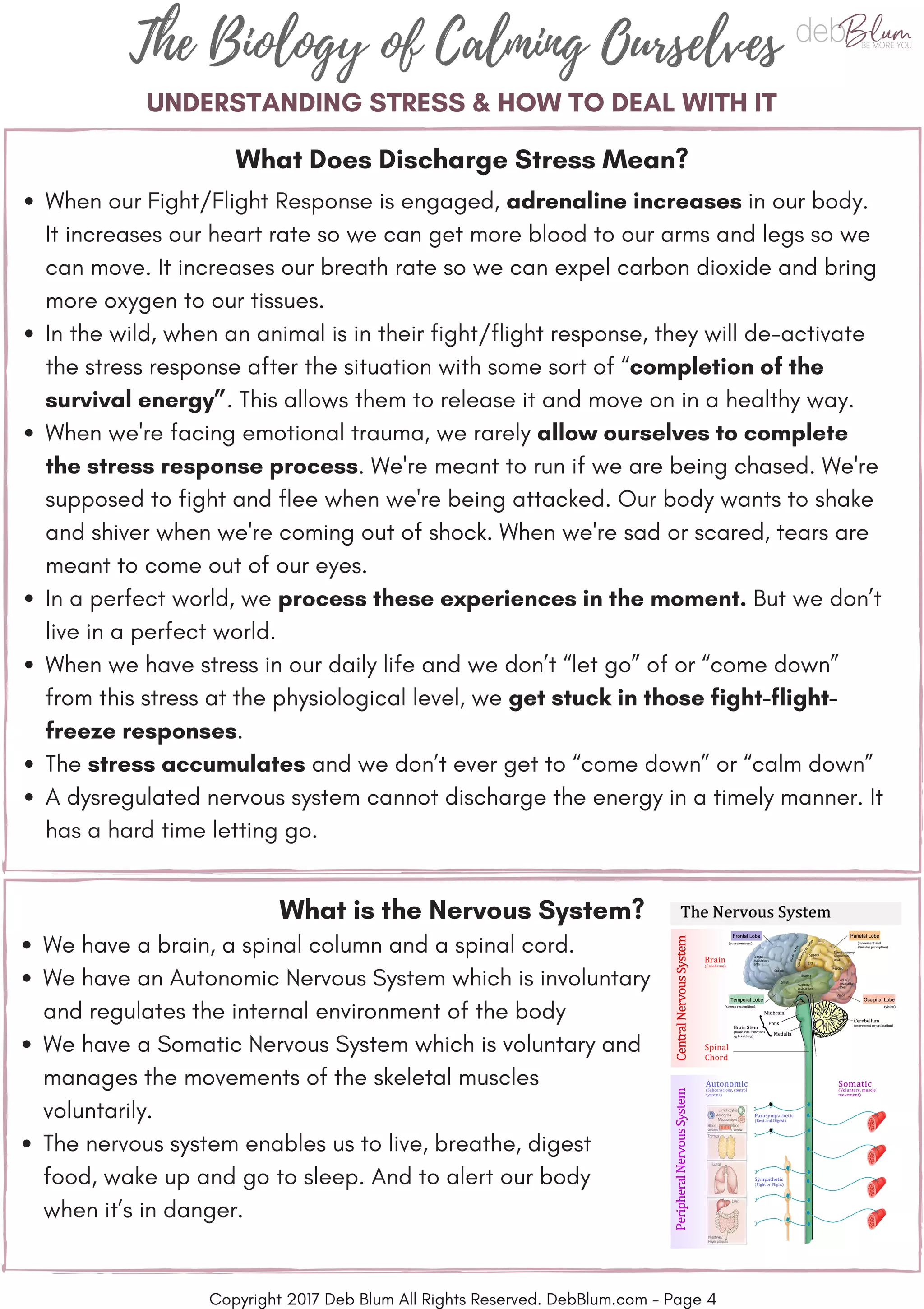The Biology of Calming Ourselves Workbook | PDF