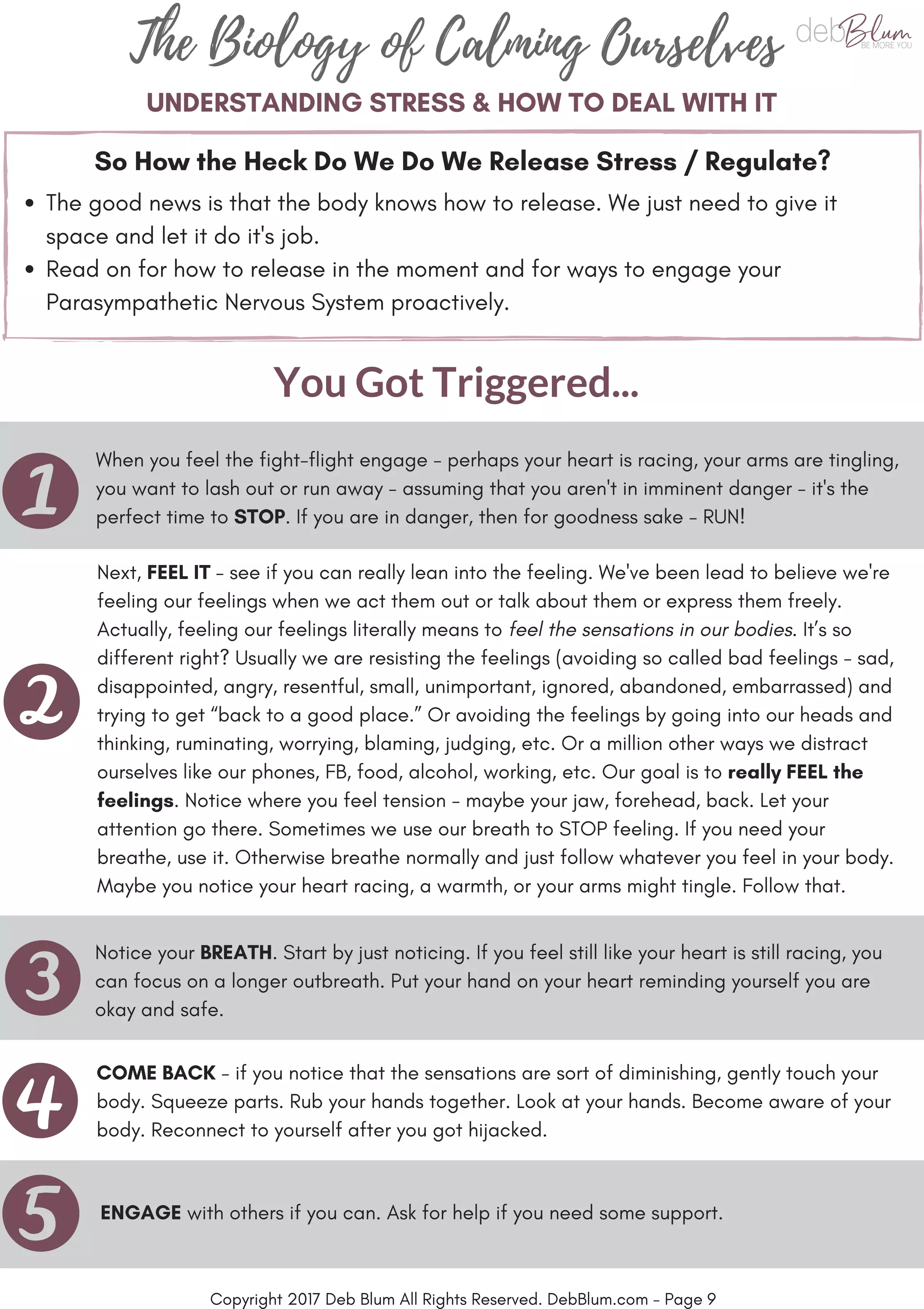 The Biology of Calming Ourselves Workbook | PDF