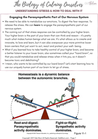 The Biology of Calming Ourselves Workbook | PDF