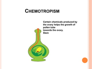 The biology of movements 2 | PPTX
