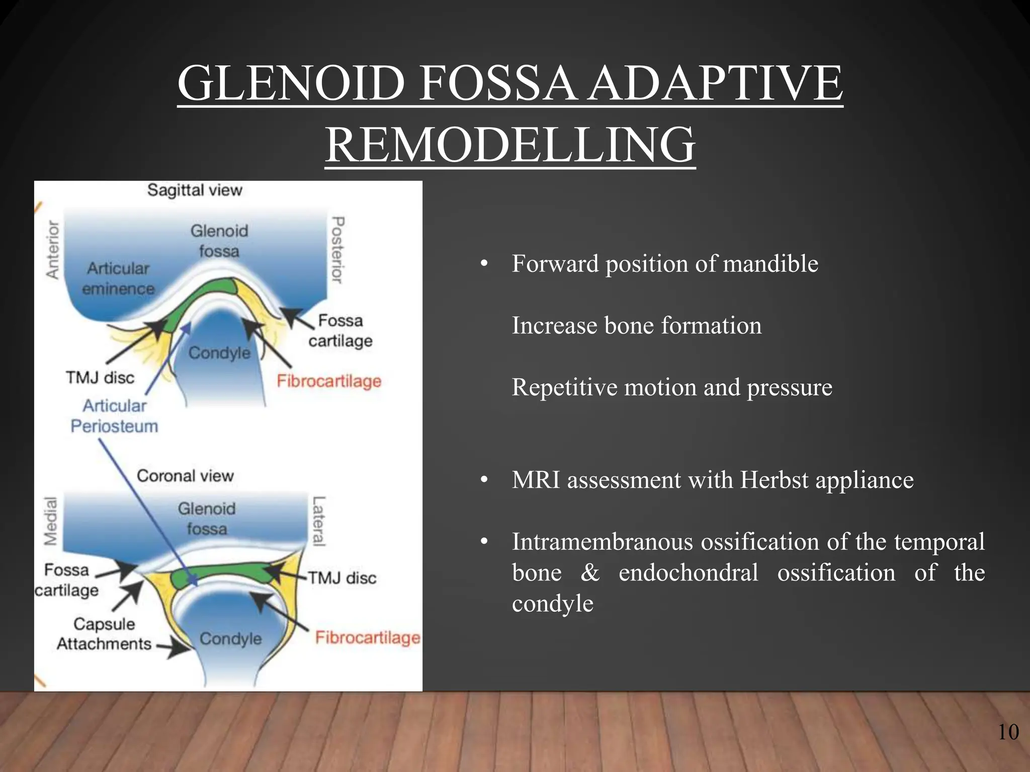 THE BIOLOGY OF TMJ GROWTH MODIFICATION JC 3.pptx