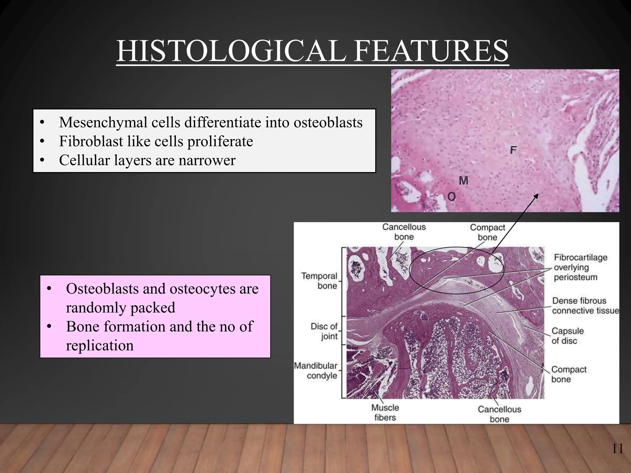 THE BIOLOGY OF TMJ GROWTH MODIFICATION JC 3.pptx