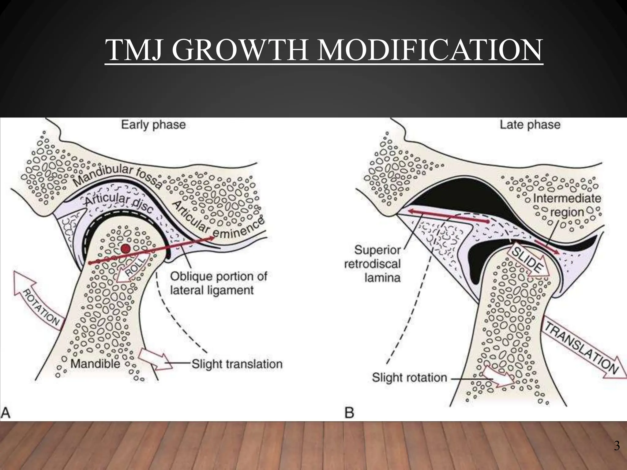 THE BIOLOGY OF TMJ GROWTH MODIFICATION JC 3.pptx