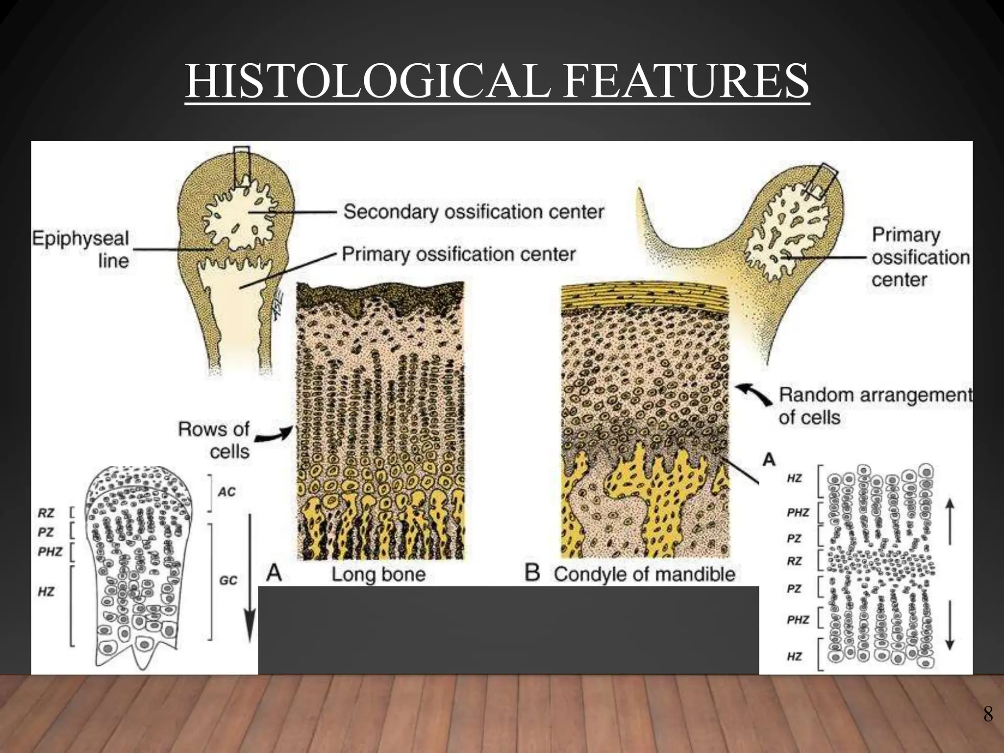 THE BIOLOGY OF TMJ GROWTH MODIFICATION JC 3.pptx