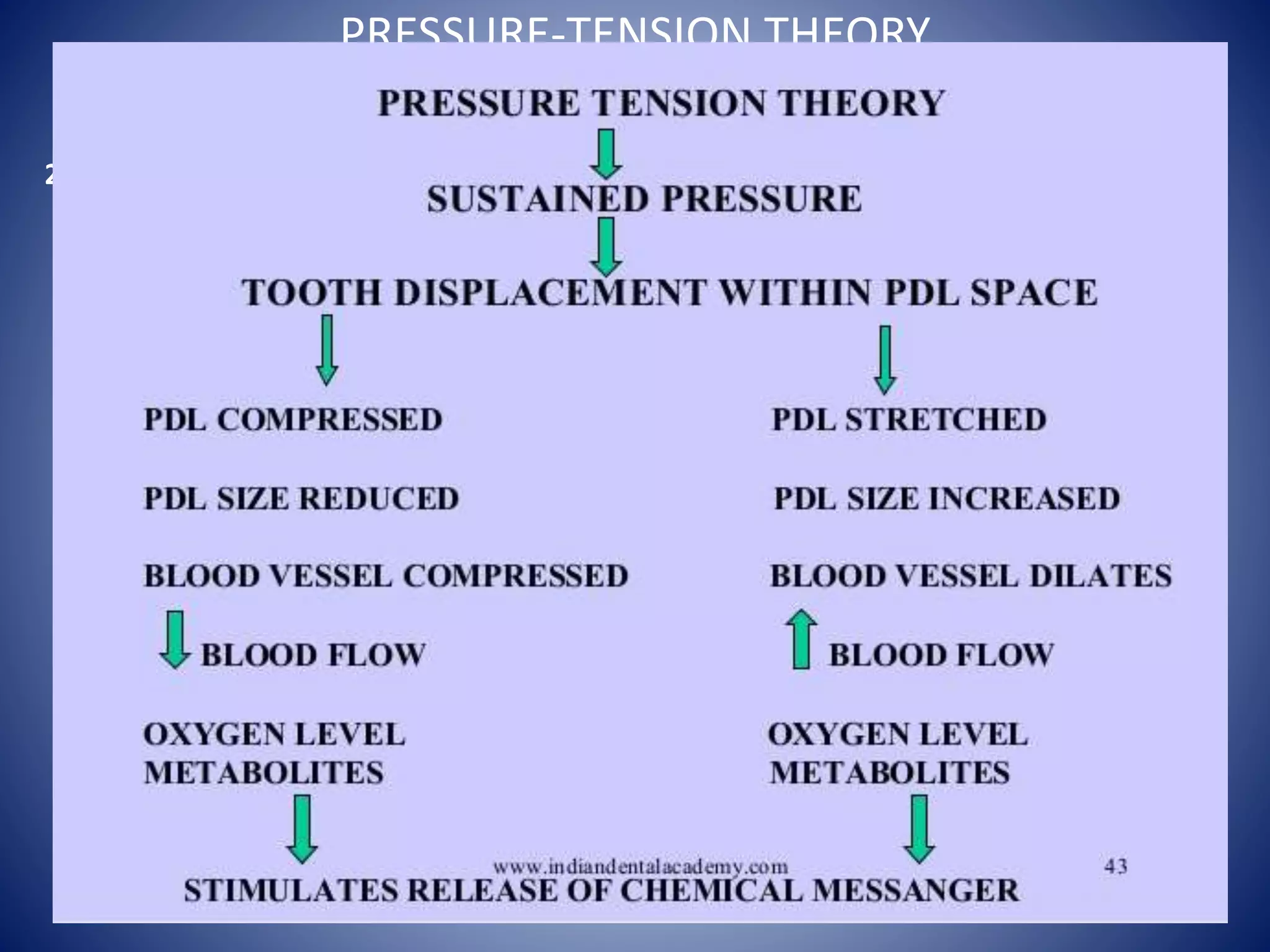 The Biology of tooth movement (Orthodontics) | PPTX