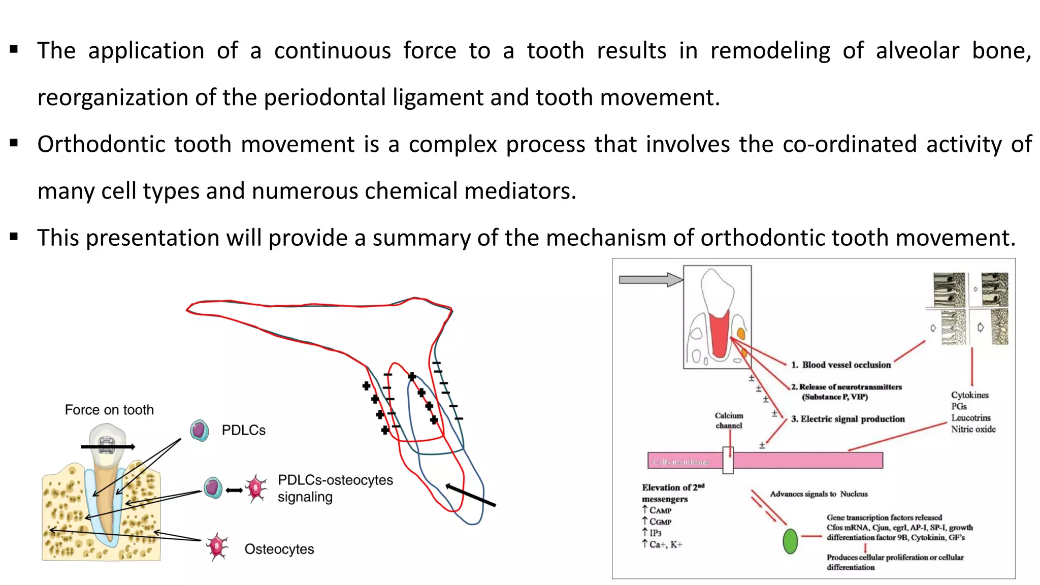 The biology of tooth movement.pdf | Bone and Joint Conditions ...