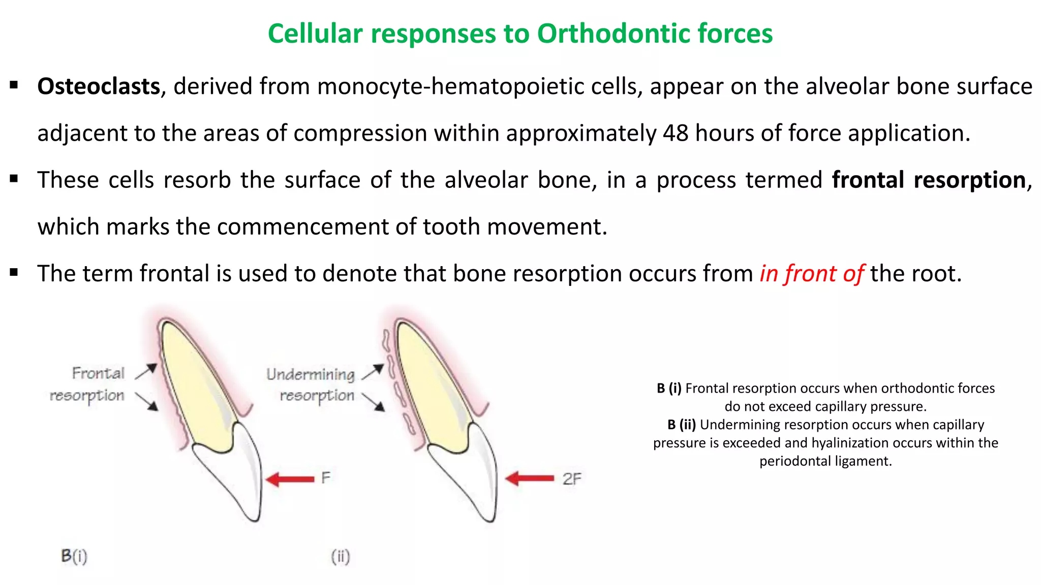 The biology of tooth movement.pdf | Bone and Joint Conditions ...
