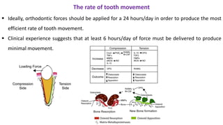 The biology of tooth movement.pdf | Bone and Joint Conditions ...