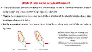 The biology of tooth movement.pdf | Bone and Joint Conditions ...
