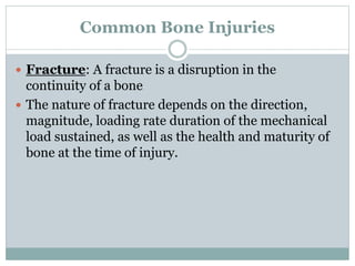 The Biomechanics of Human Bone pptsspptx | PPT