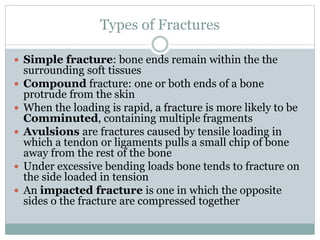 The Biomechanics of Human Bone pptsspptx | PPTX