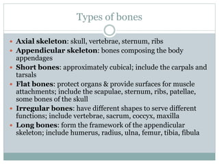 The Biomechanics of Human Bone pptsspptx | PPT
