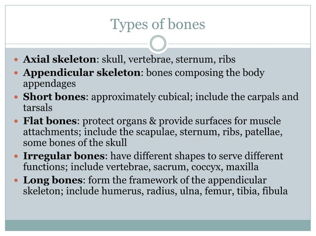 The Biomechanics of Human Bone pptsspptx | PPT