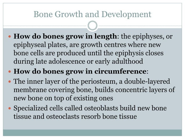 The Biomechanics of Human Bone pptsspptx | PPT
