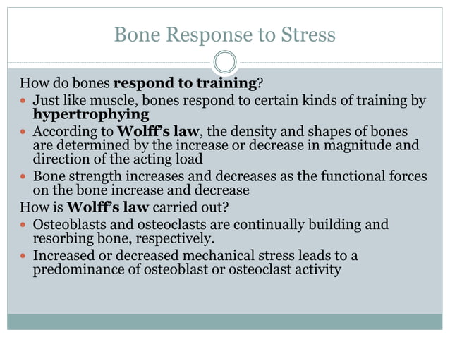 The Biomechanics of Human Bone pptsspptx | PPT