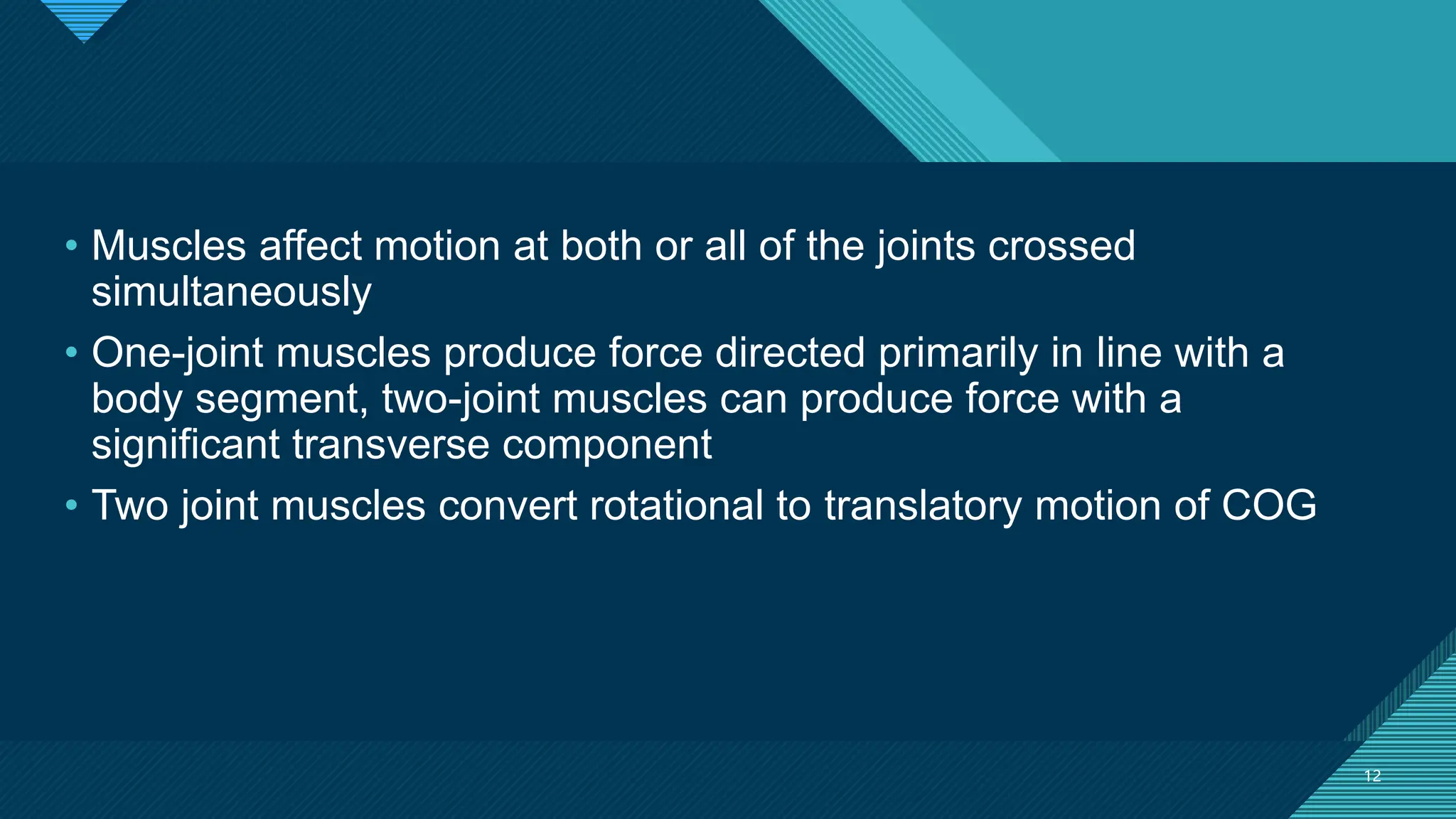 The Biomechanics of Human Skeletal Muscle-B.pptx