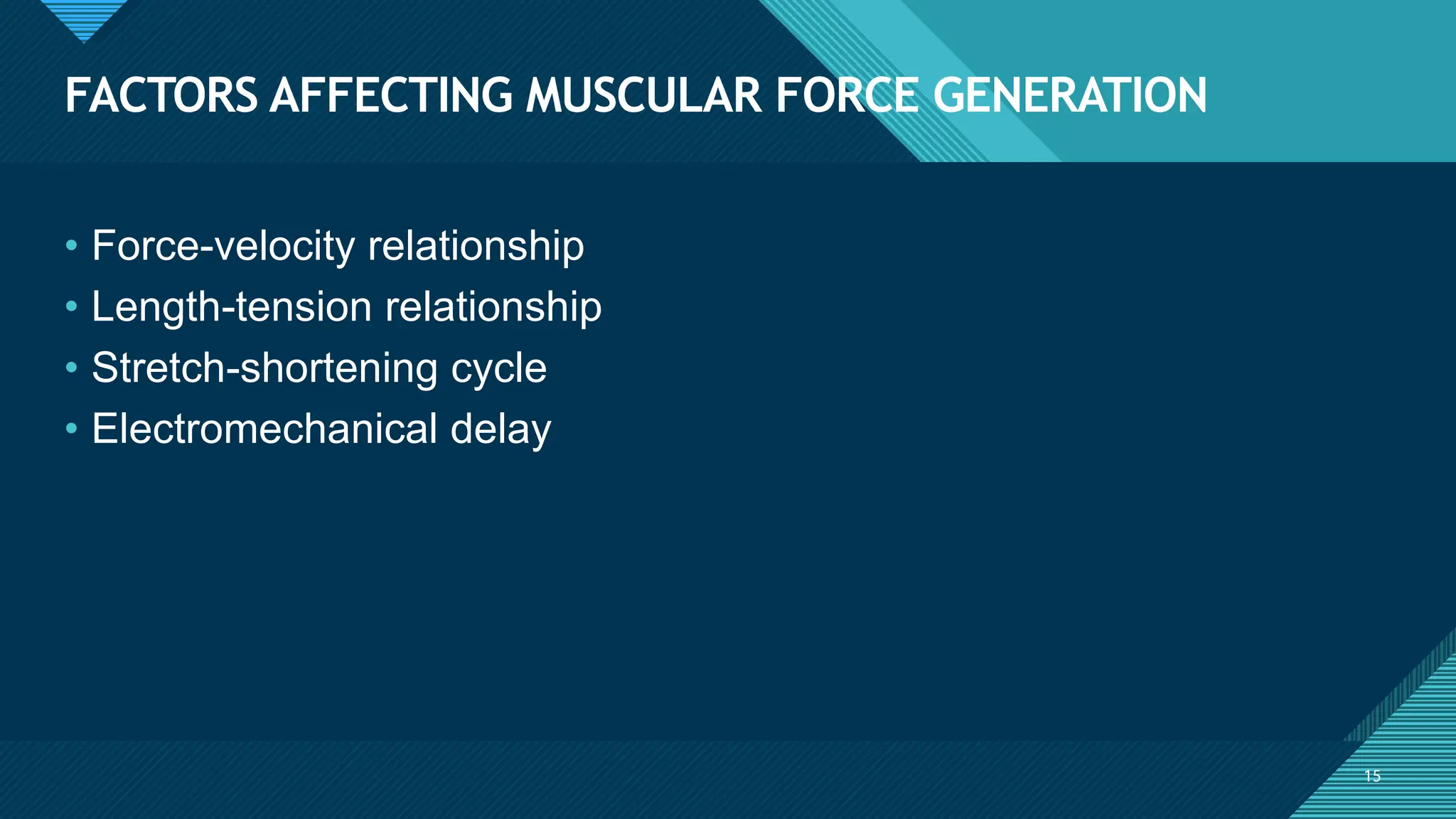 The Biomechanics of Human Skeletal Muscle-B.pptx