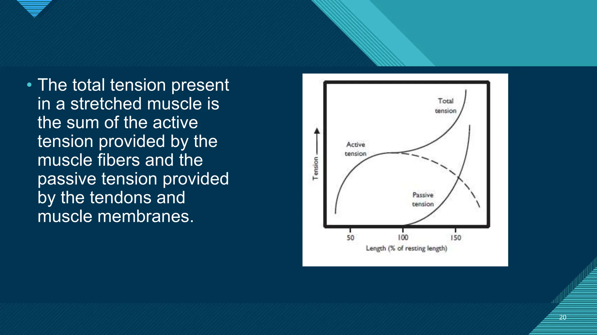 The Biomechanics of Human Skeletal Muscle-B.pptx