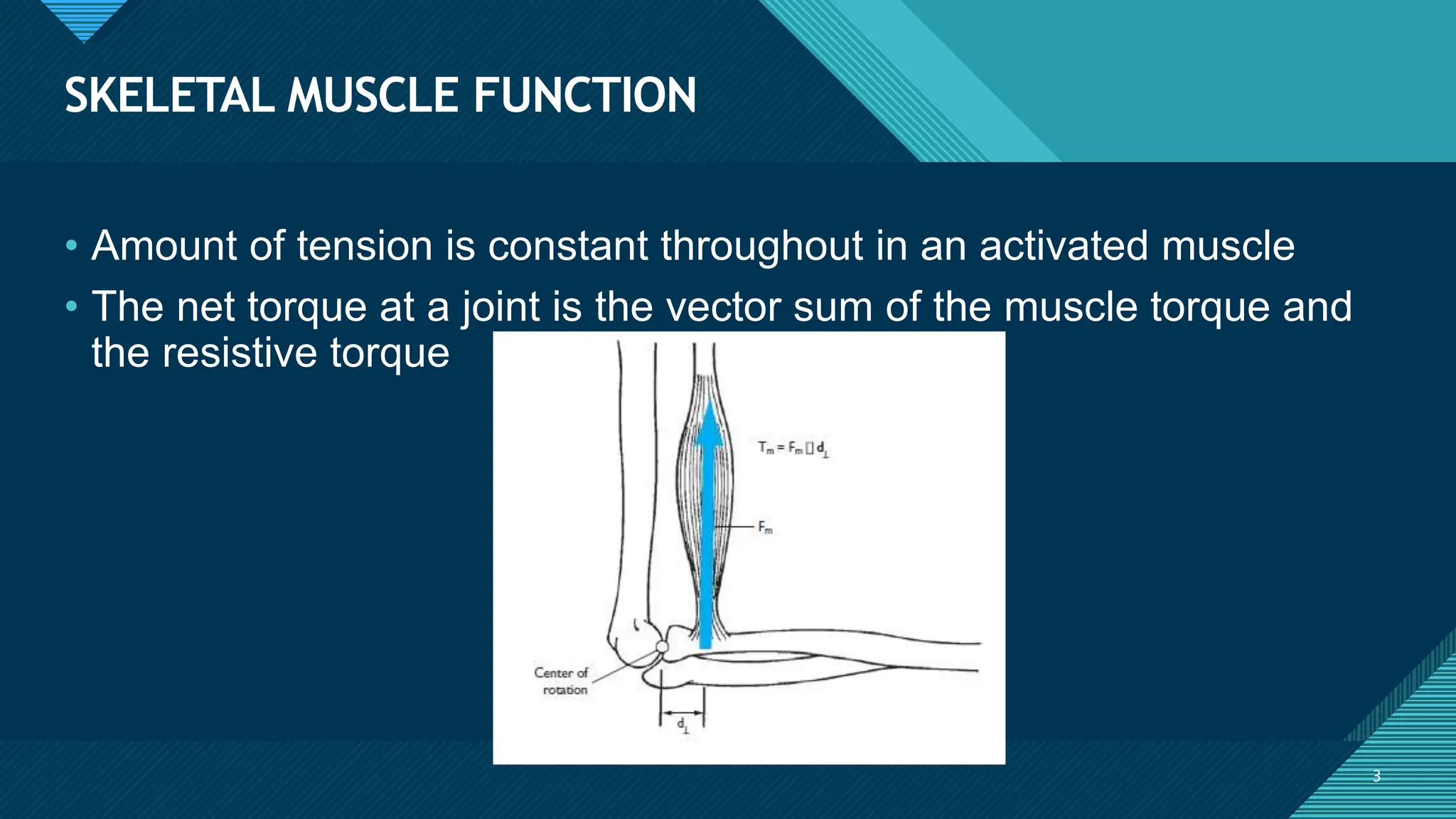The Biomechanics of Human Skeletal Muscle-B.pptx