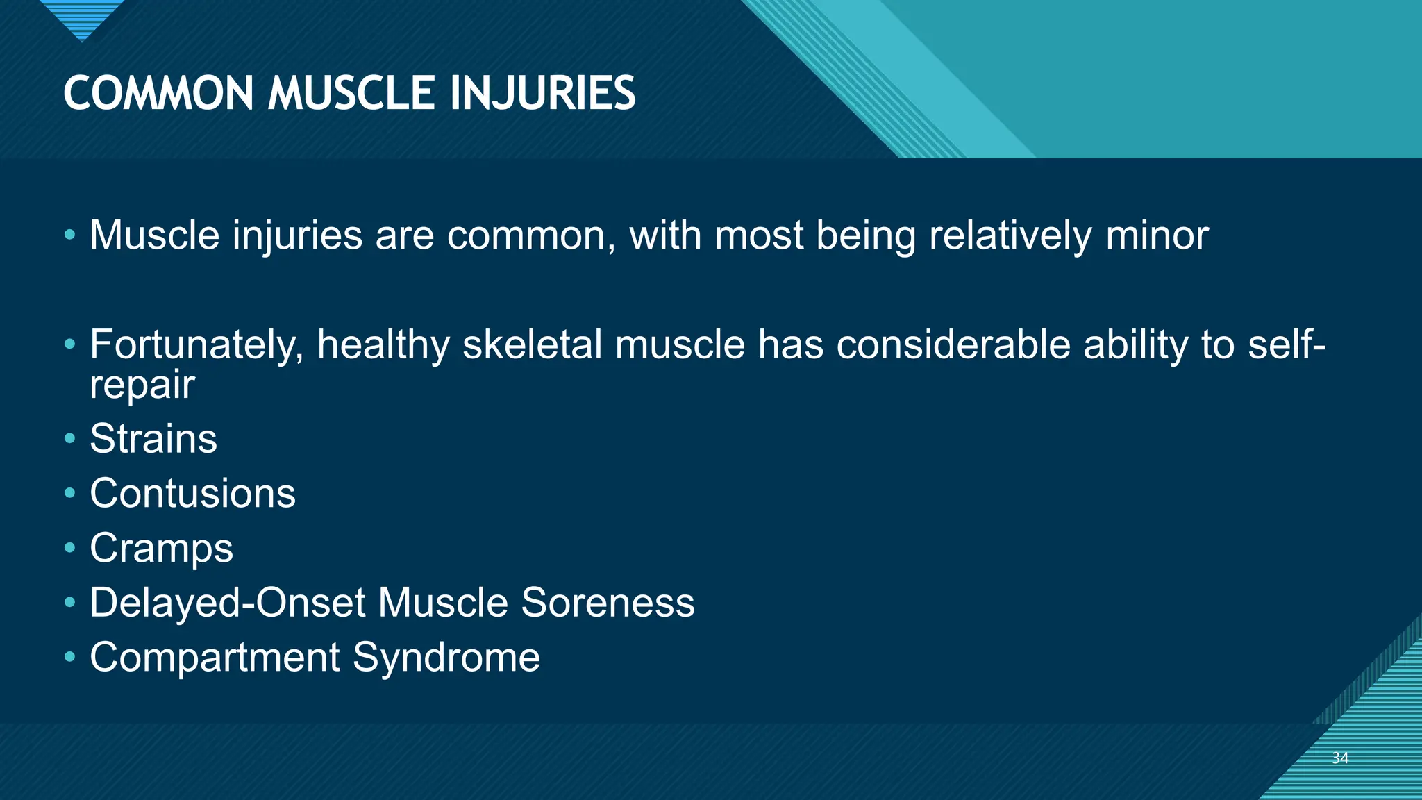 The Biomechanics of Human Skeletal Muscle-B.pptx