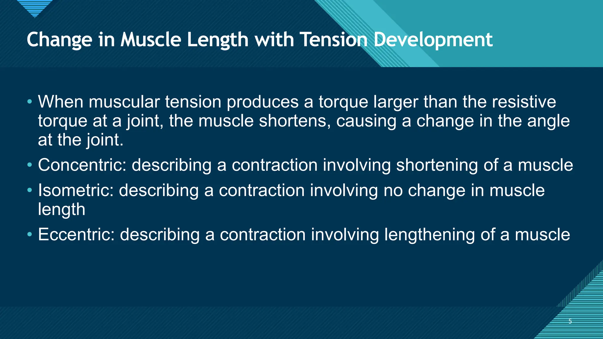 The Biomechanics of Human Skeletal Muscle-B.pptx