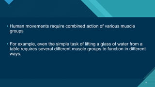 The Biomechanics of Human Skeletal Muscle-B.pptx