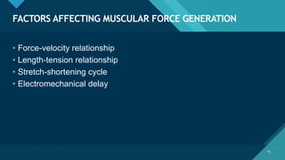 The Biomechanics of Human Skeletal Muscle-B.pptx