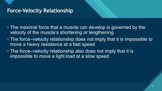 The Biomechanics of Human Skeletal Muscle-B.pptx