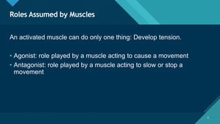 The Biomechanics of Human Skeletal Muscle-B.pptx