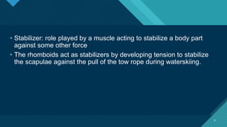 The Biomechanics of Human Skeletal Muscle-B.pptx