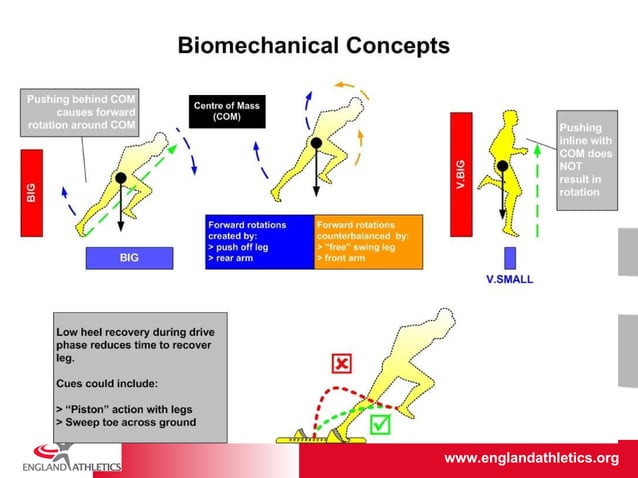 The Biomechanics of Sprinting | PPT | Fitness and Exercise | Healthy Living