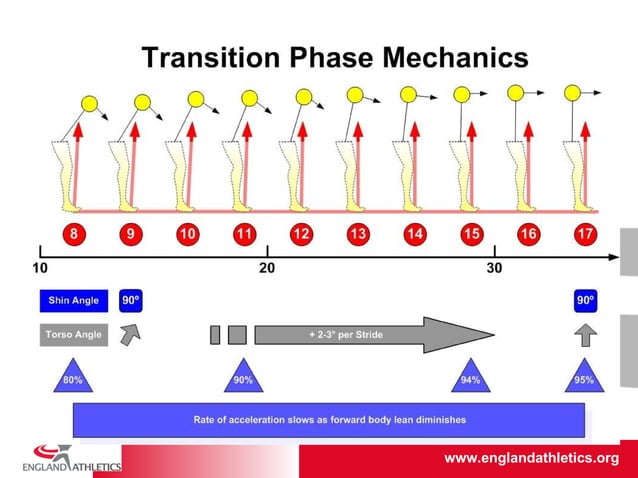 The Biomechanics of Sprinting | PPT | Fitness and Exercise | Healthy Living
