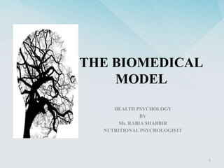 Biomedical Model