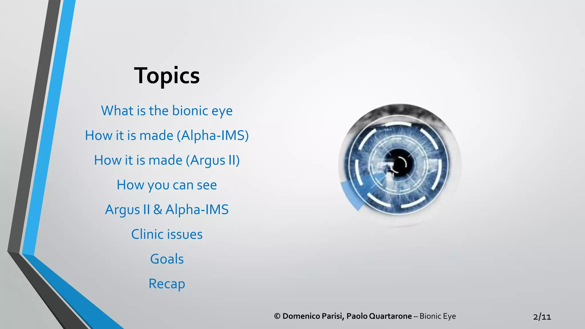The Bionic Eye...a new vision of the future | PDF