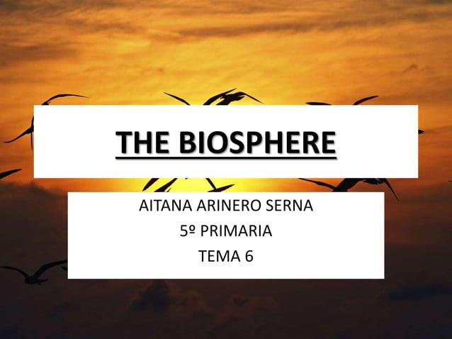 The biosphere | PPT