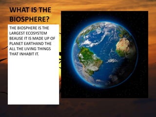 The biosphere | PPT