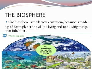 The biosphere | PPTX
