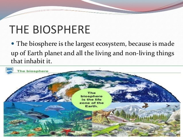 The biosphere