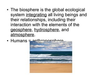 The biosphere | PPT