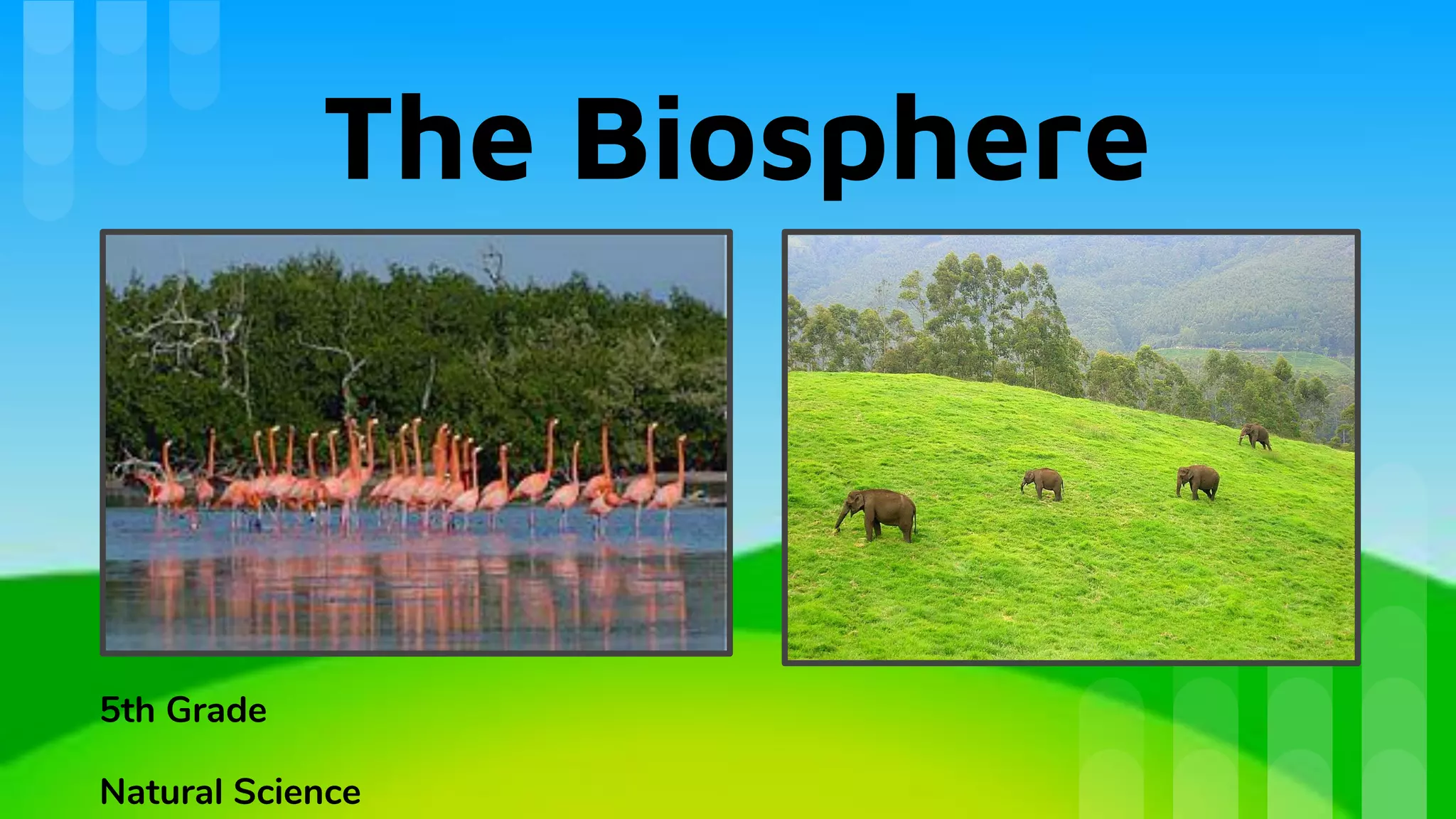 The Biosphere | PDF