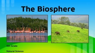 The Biosphere | PDF