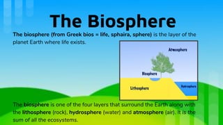 Biosphere Pictures For Kids