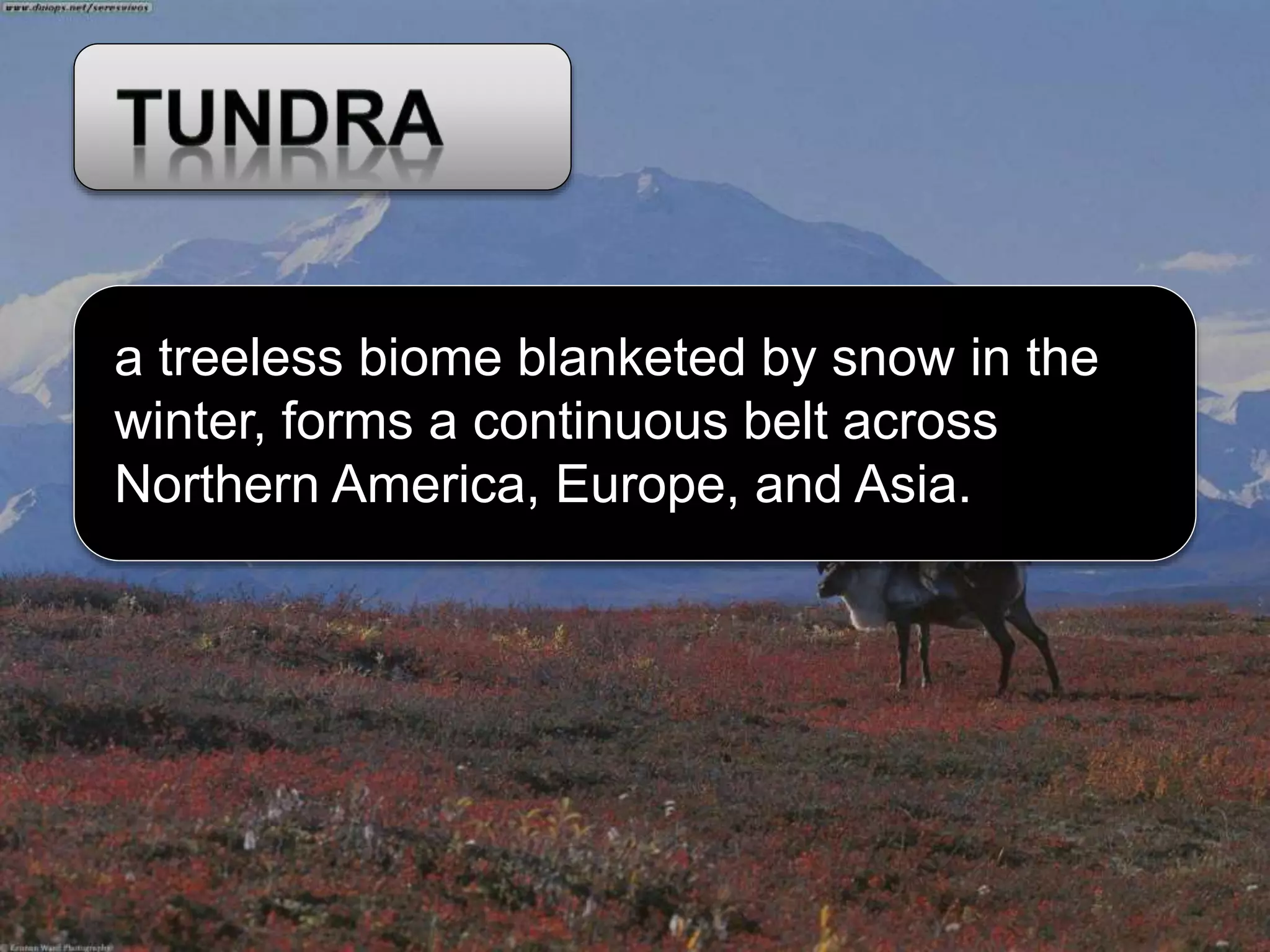 The biosphere and biomes | PPTX